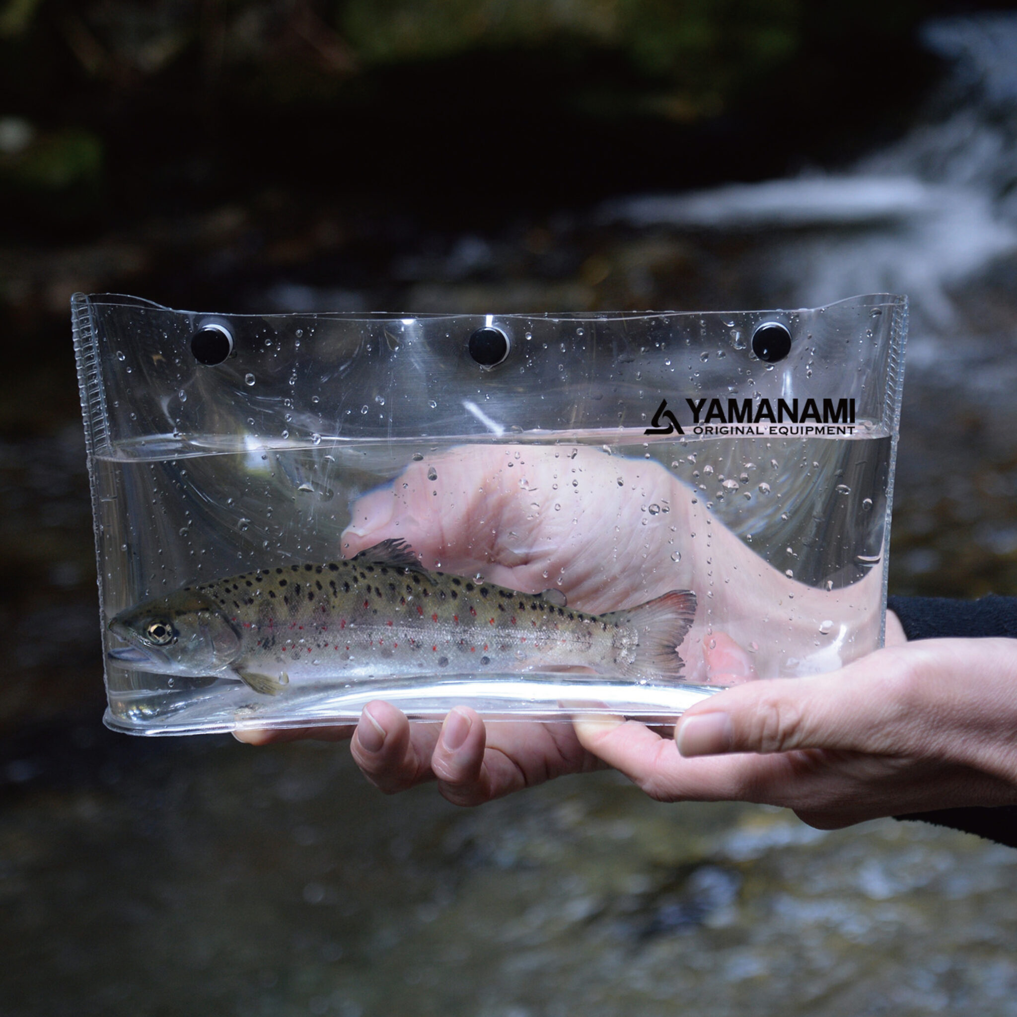 Capture | 商品ジャンル | 山波商店